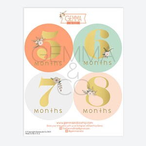 The Gemma | Baby Stickers Baby First Year Sticker Set 12 Months - Etsy