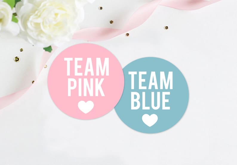 Gender Reveal Party Stickers, Team Pink Team Blue Stickers, Pink and ...