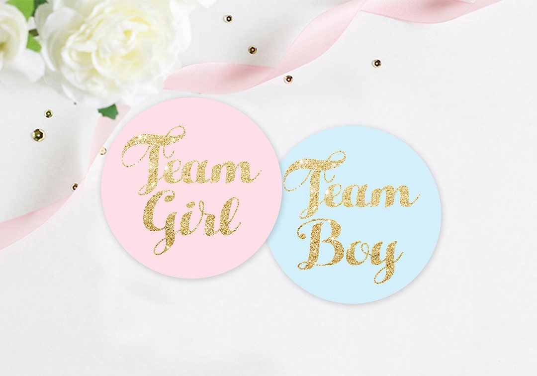 Gender Reveal Party Stickers, Team Pink Team Blue Stickers, Pink and ...