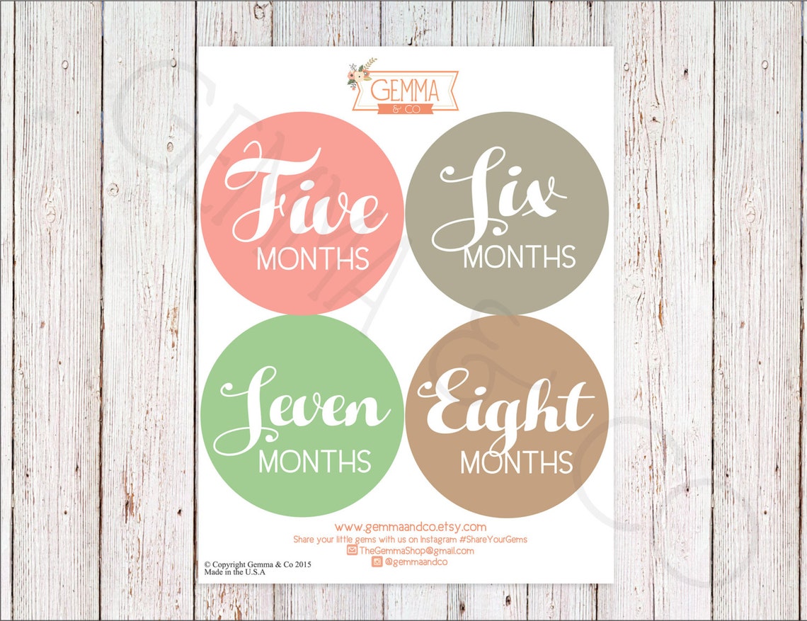 The Avery | Chic Modern Baby Girl Stickers, 12 Month Stickers ...