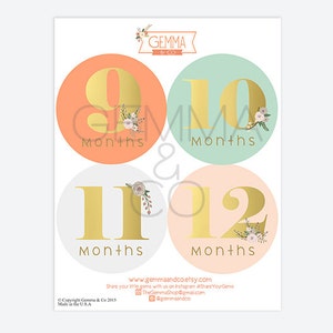 The Gemma | Baby Stickers Baby First Year Sticker Set 12 Months - Etsy