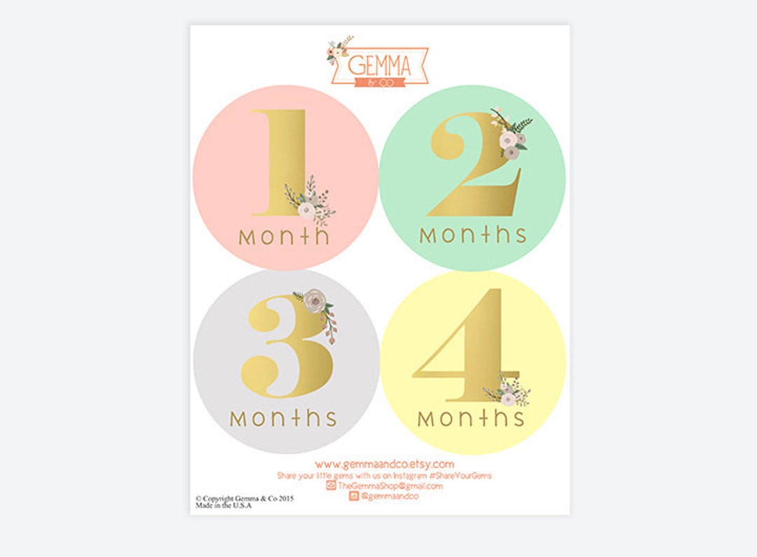 The Mila | Baby Stickers Baby Girl First Year Sticker Set 12 Months - Etsy