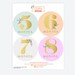 The Mila Baby Stickers Baby Girl First Year Sticker Set 12 - Etsy