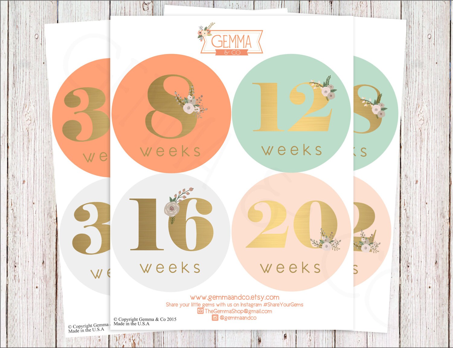 Modern Chic Floral Pregnancy Stickers Faux Gold Foil Photo Prop - Etsy