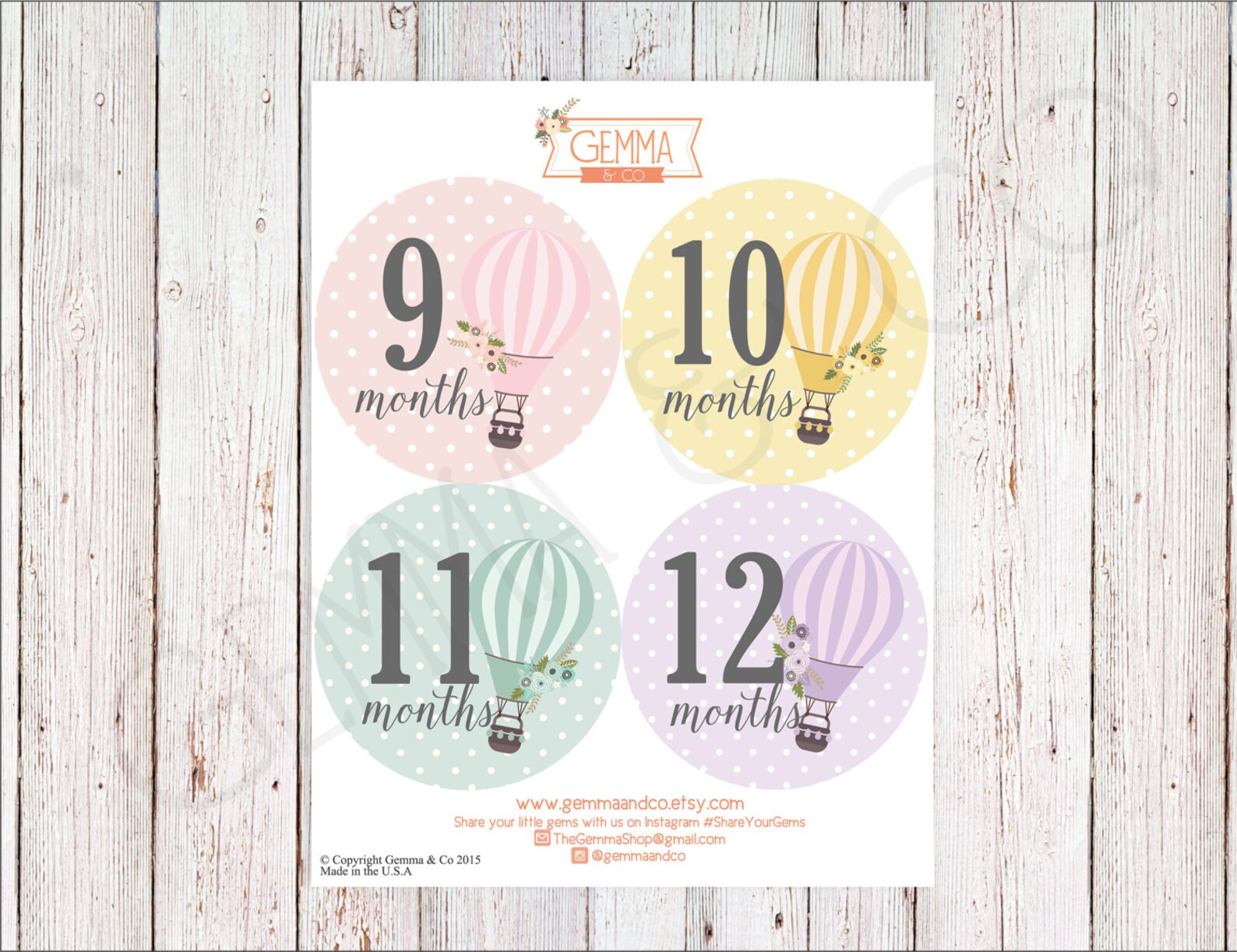 The Sophia | Hot Air Balloon Baby Girl 12 Month Stickers Set - Etsy