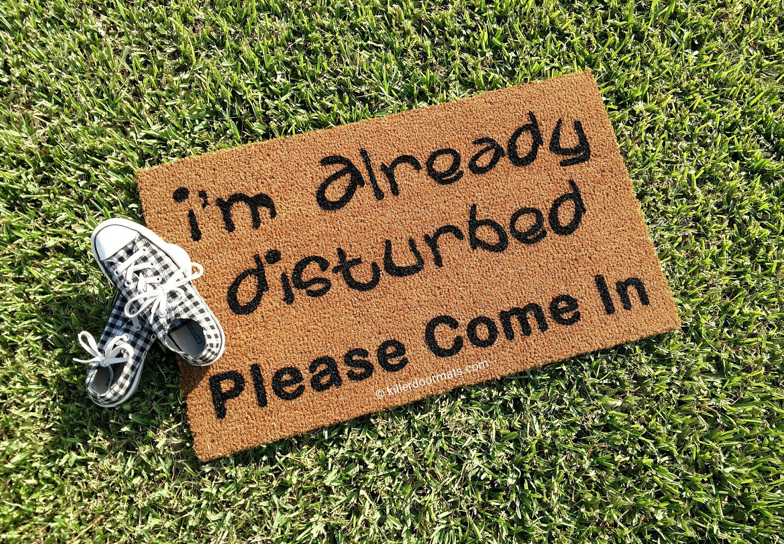 I'm Already Disturbed Please Come in Funny Custom Handpainted Welcome ...