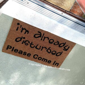 I'm Already Disturbed Please Come in Funny Custom Handpainted Welcome ...