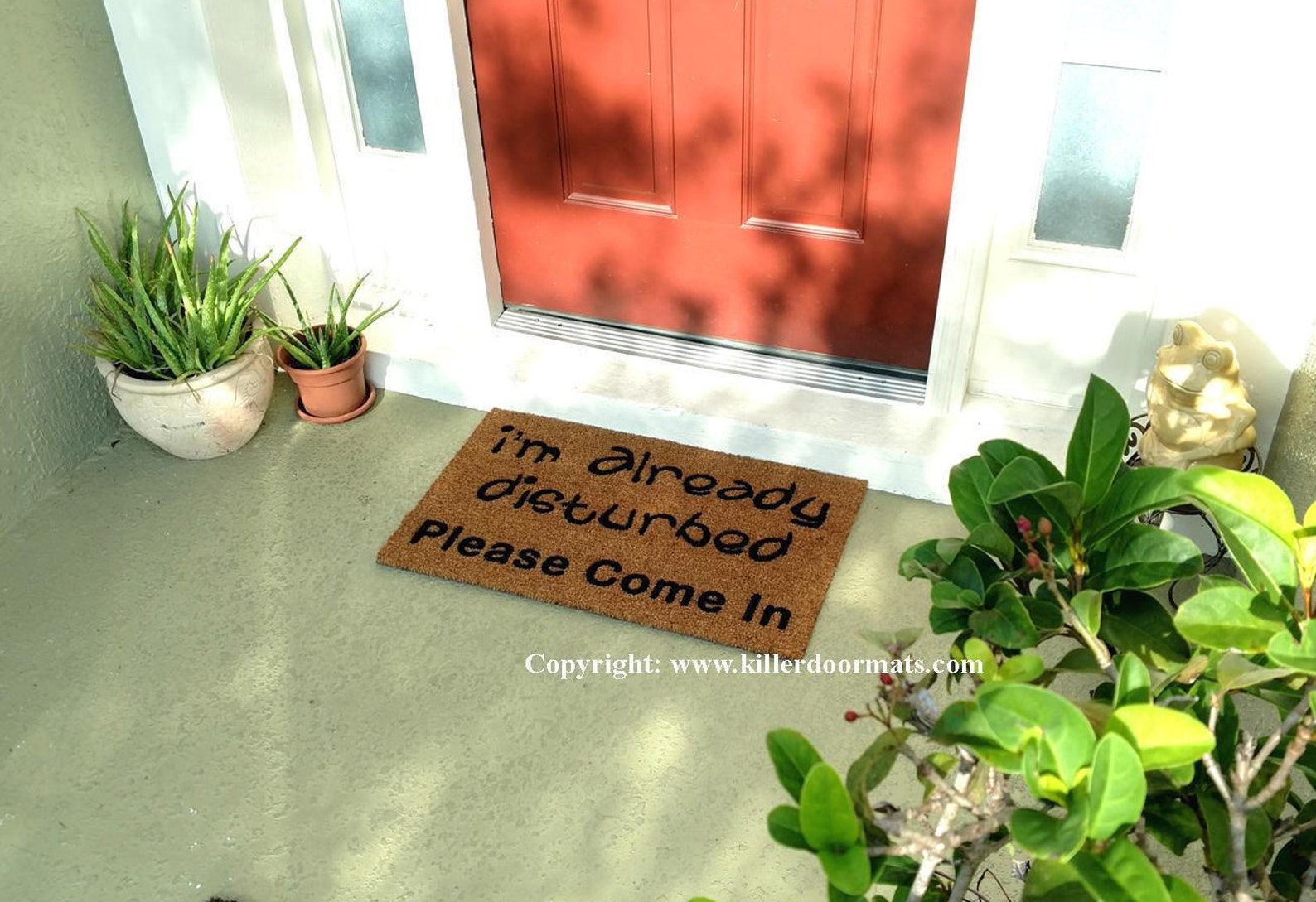 I'm Already Disturbed Please Come in Funny Custom Handpainted Welcome ...