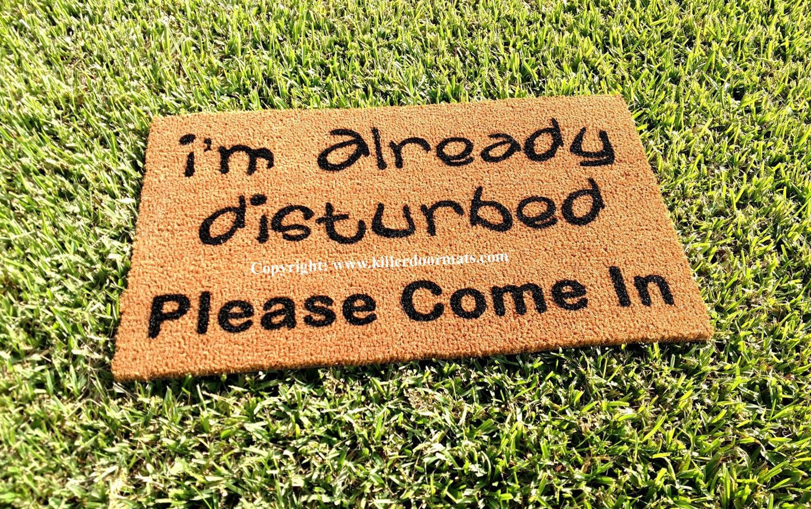 I'm Already Disturbed Please Come in Funny Custom Handpainted Welcome ...