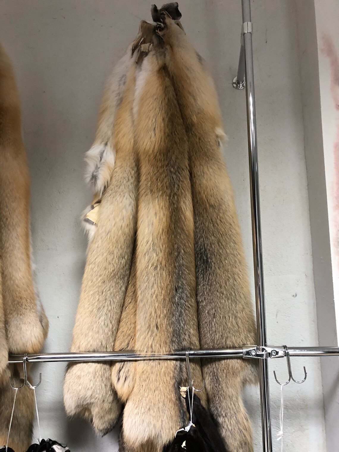 Fox Fur Pelts/skins - Etsy