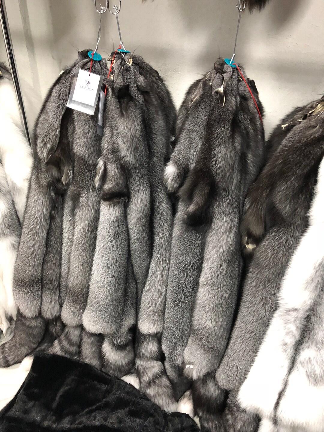 Blue Frost Fox Fur Pelts/skins - Etsy