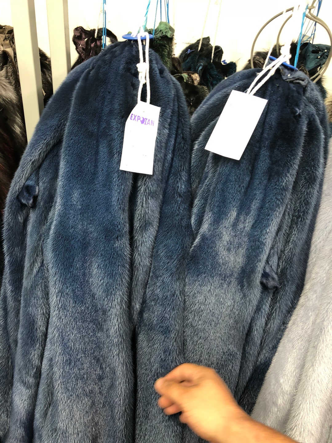 Blue Mink Pelts/skins in Diffirent Colors - Etsy