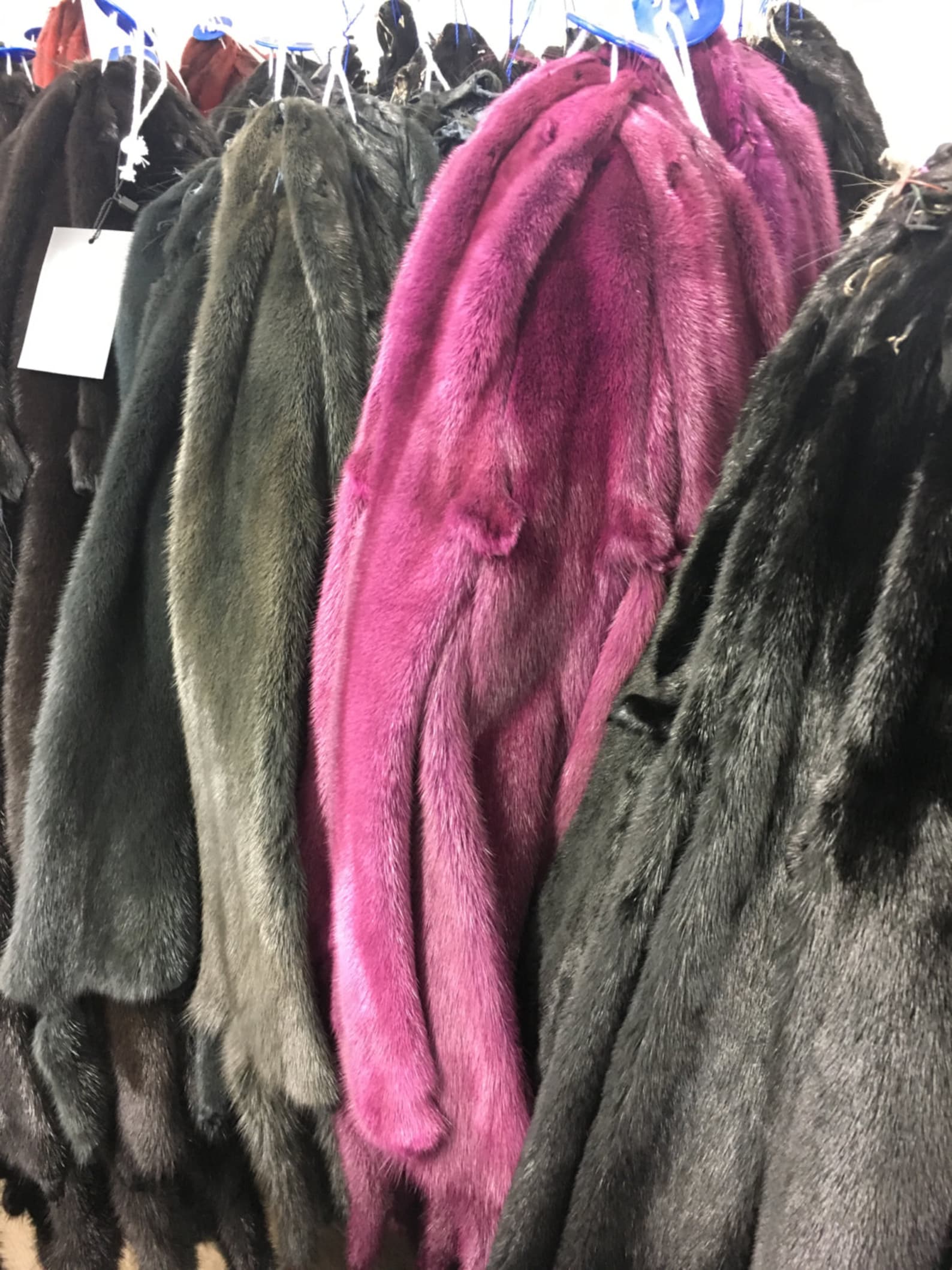 Mink Pelts/skins in Diffirent Colors | Etsy