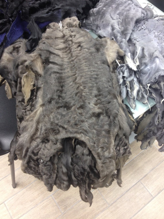 Karakul Lamp Pelts/skins/swakara - Etsy