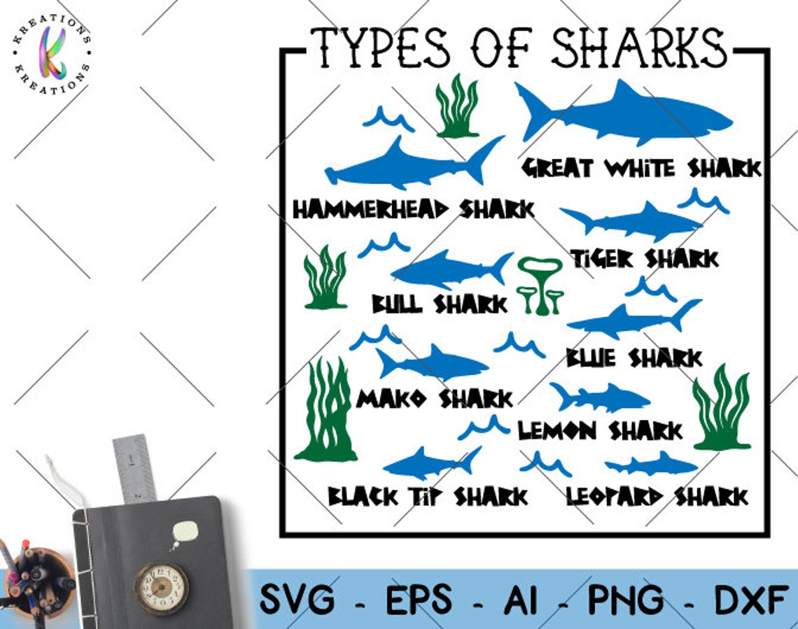 Types of Sharks Svg Kids Shark Names Svg Shark Names Tee - Etsy Canada