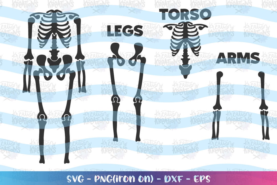 Halloween SVG Skeleton Halloween Body Parts Svg Decal Print - Etsy
