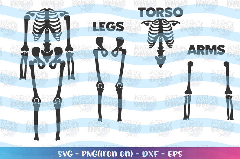 Halloween SVG Skeleton Halloween Body Parts Svg Decal Print - Etsy