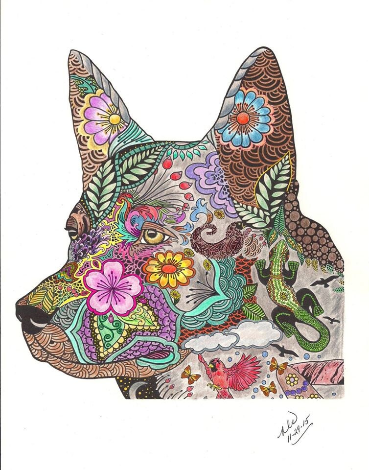 Printable Australian Cattle Dog Colouring Page, Instant Download, With ...