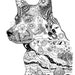 Printable Australian Cattle Dog Colouring Page, Instant Download, With ...
