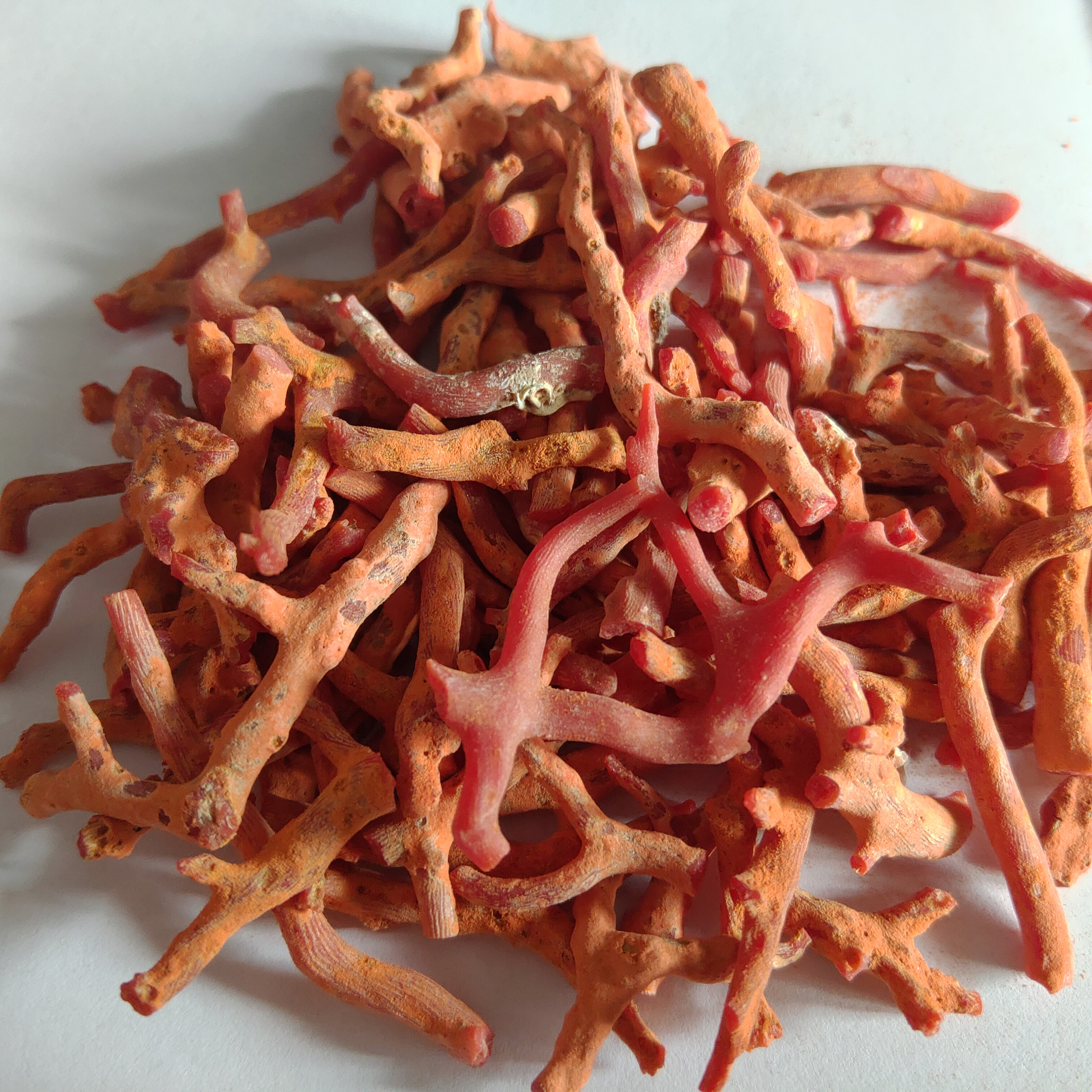 Natural Rough Red Coral Branches: Mediterranean Sea Coral (25-100 Carat ...