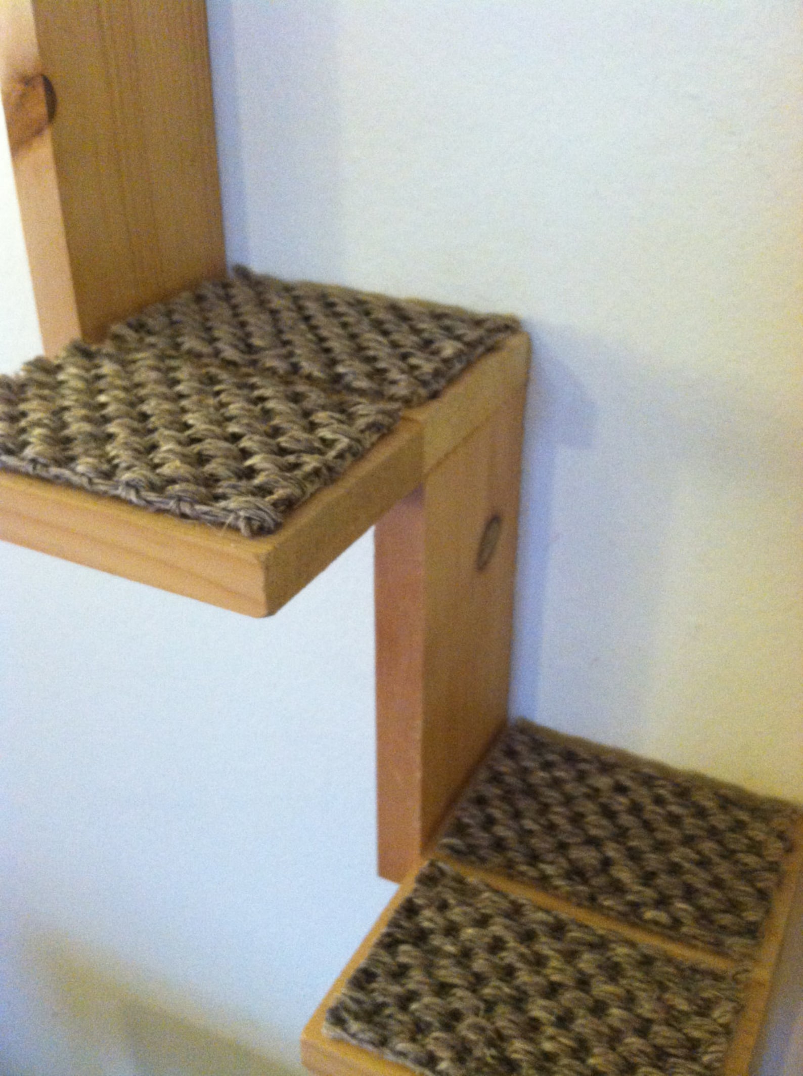 Cat Staircase. Cats Can Climb From Floor to Ceiling. Turn Your Home ...