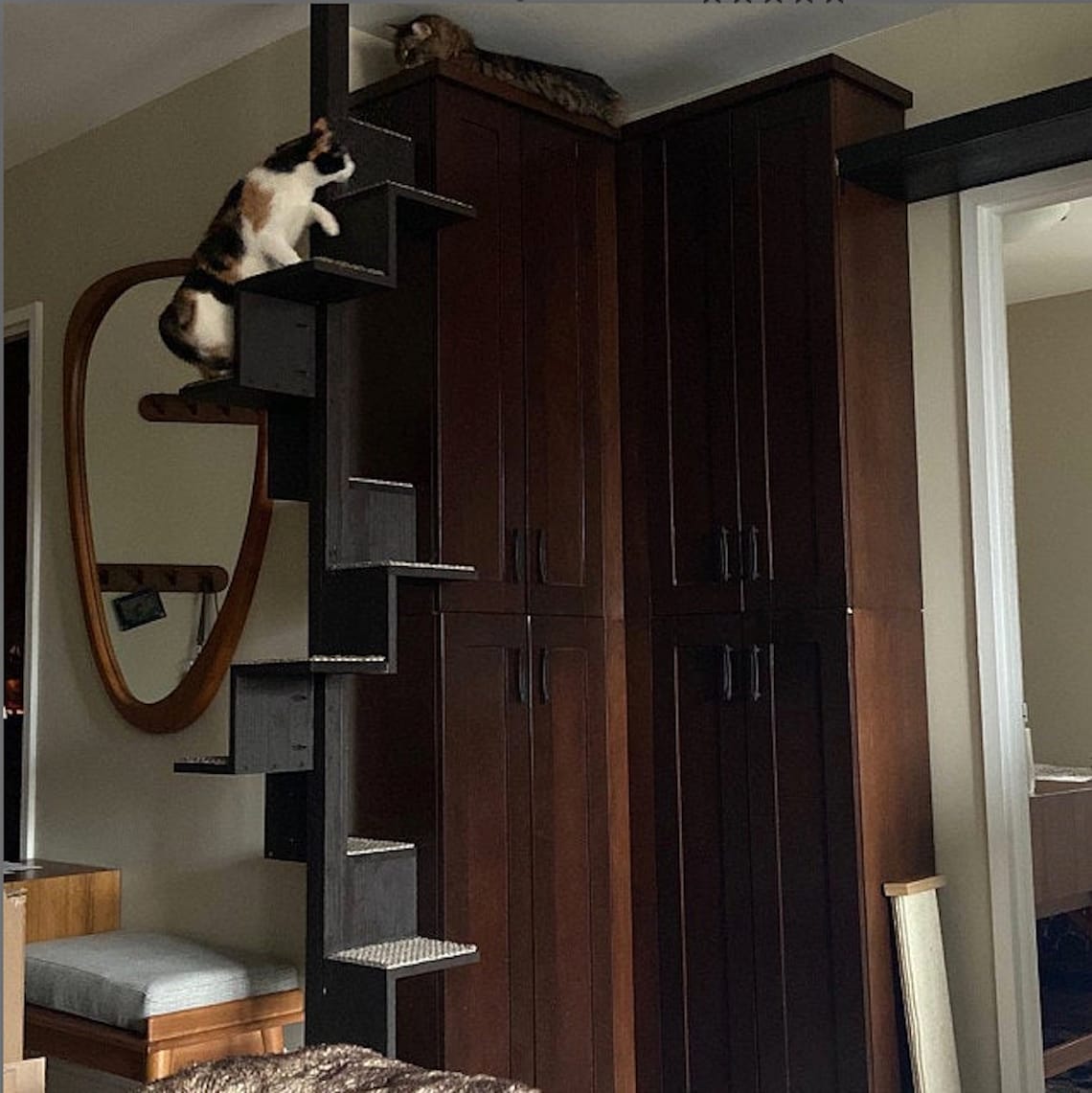 SQUARAL Cat Staircase. ALL Cats Can Safely Climb up High. - Etsy