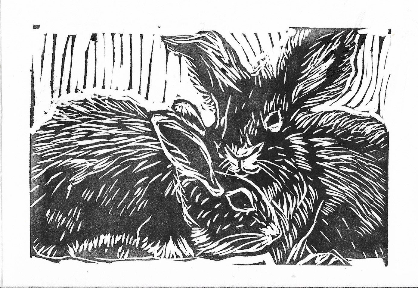 Rabbits Linocut - "who Can Tell" - Original Handmade Print - Etsy