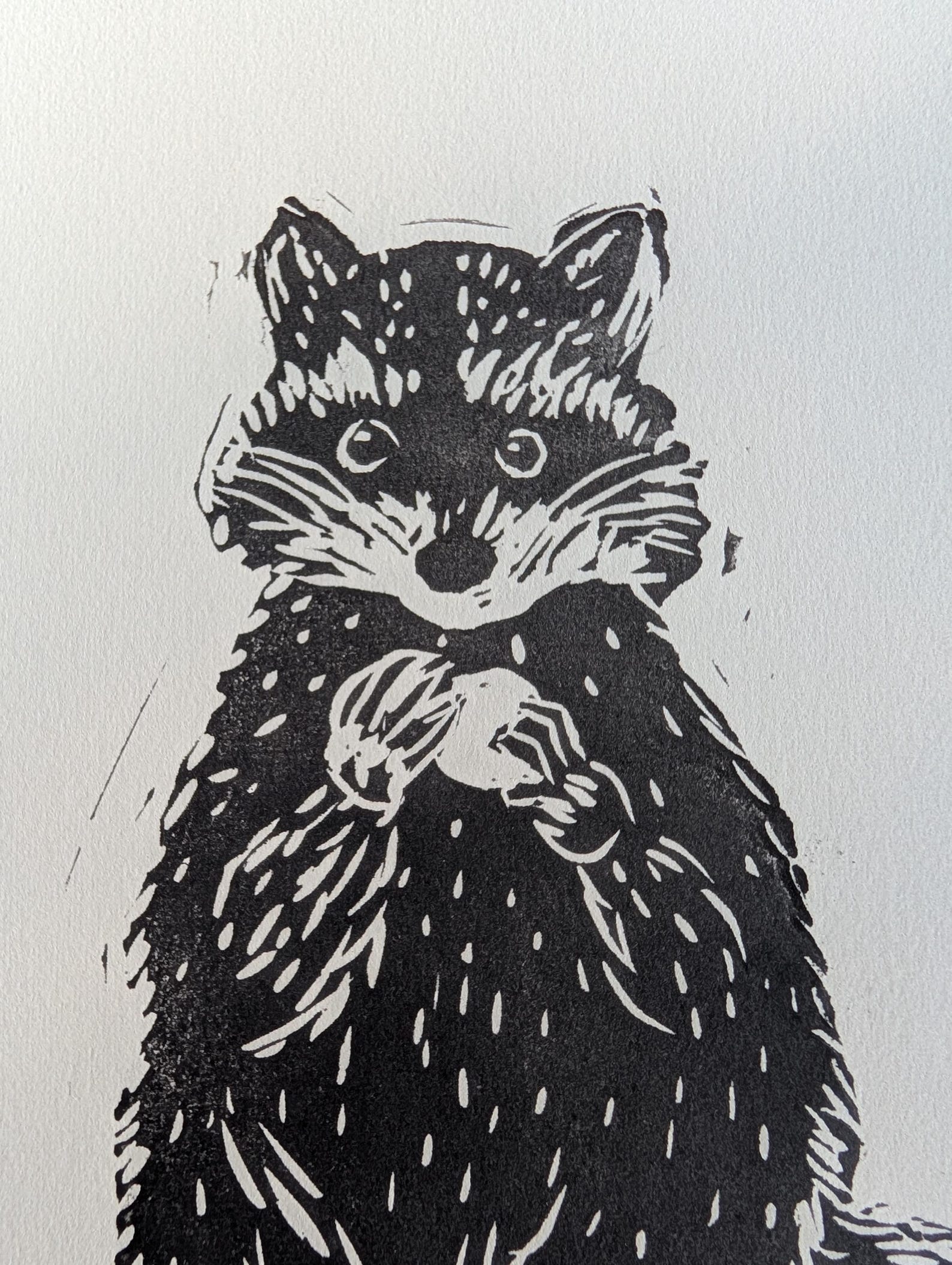 Raccoon Lunch Block Print Original Linocut - Etsy