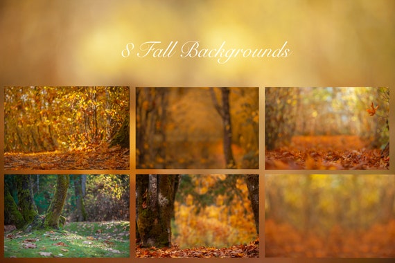 Fall Bokeh and Background Pack - Etsy