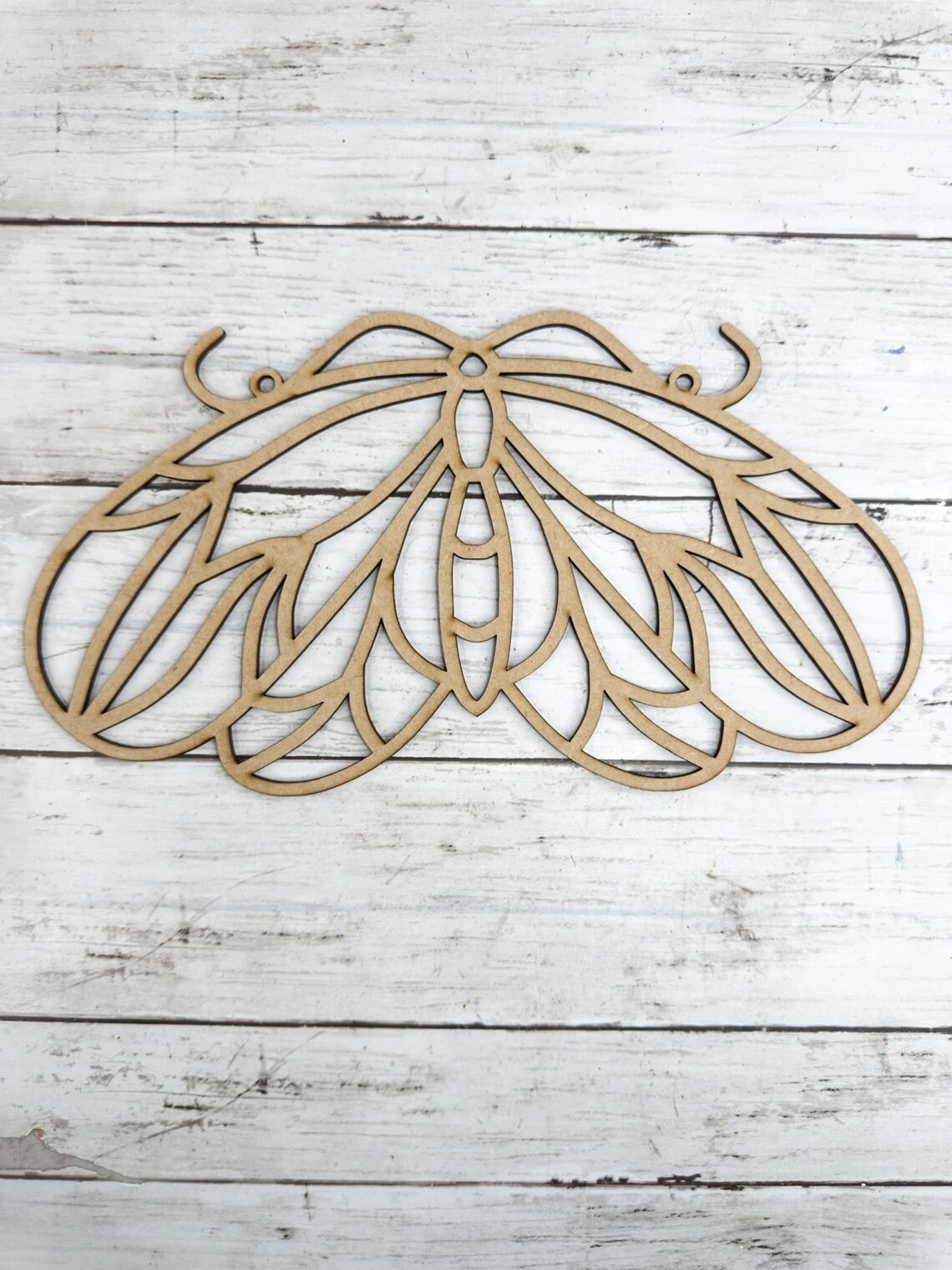 Unfinished Style 25 Moth Cut Wood Outline Frame Blank DIY | Wooden Moth ...