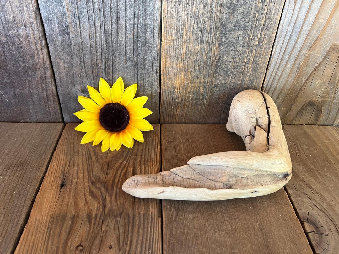 8x 6 Long L Shaped Driftwood Stick, Air Plant Driftwood Stick, Artistic ...