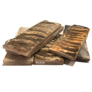 10 Ram Horn Scales Flawed Mix-matched Imperfect Uneven, Ram Horn ...