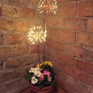 Allium Light Small Battery Powered Leds Indoor or Outdoor - Etsy