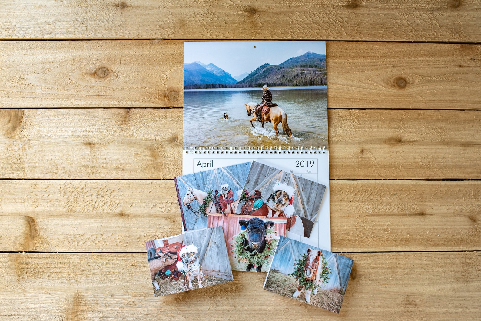 Christmas Farm Animal Greeting Cards Variety Pack | Holiday Cards ...