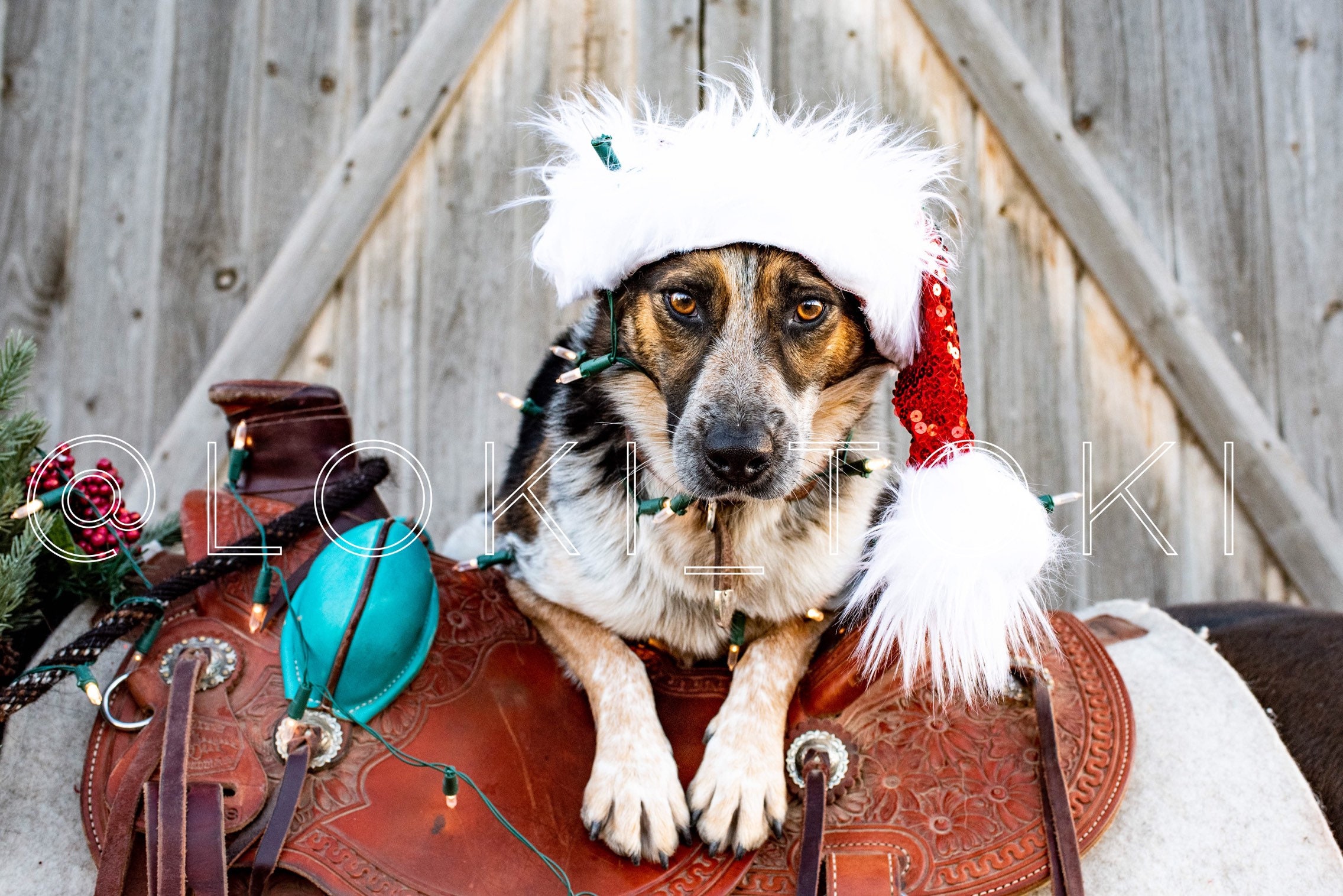 Christmas Farm Animal Greeting Cards Variety Pack Holiday | Etsy
