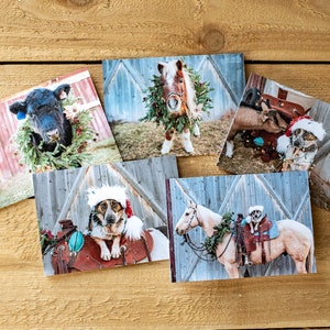 Christmas Farm Animal Greeting Cards Variety Pack | Holiday Cards ...