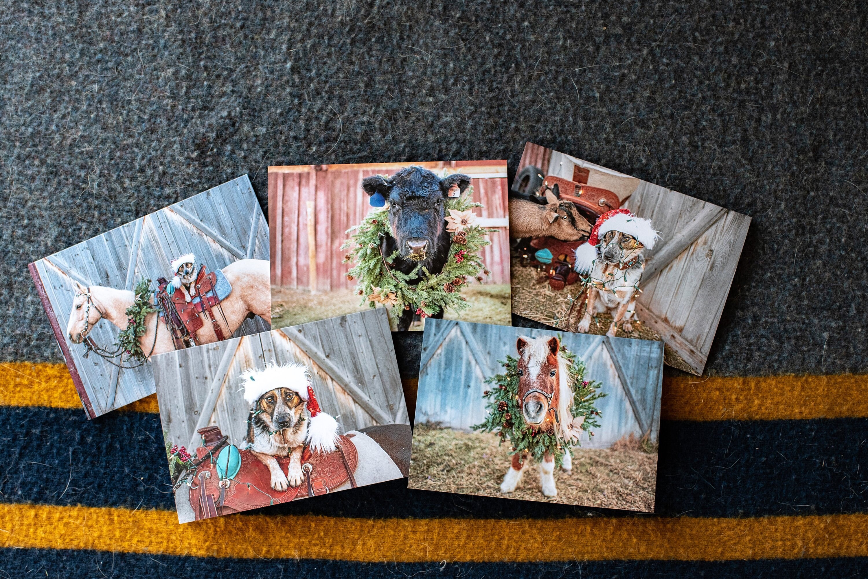 Christmas Farm Animal Greeting Cards Variety Pack | Holiday Cards ...