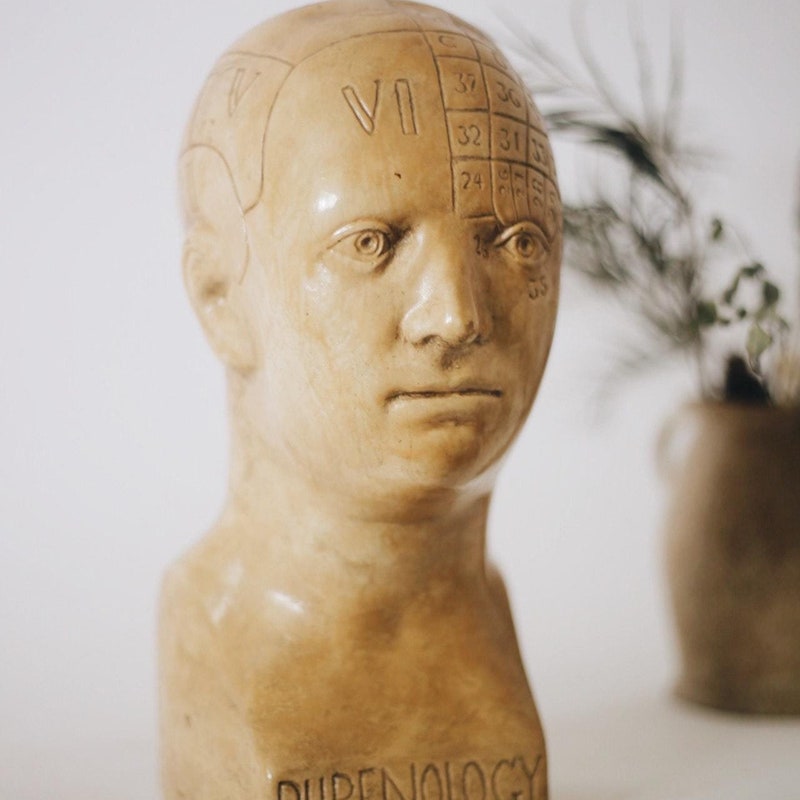 Phrenology Head - Etsy