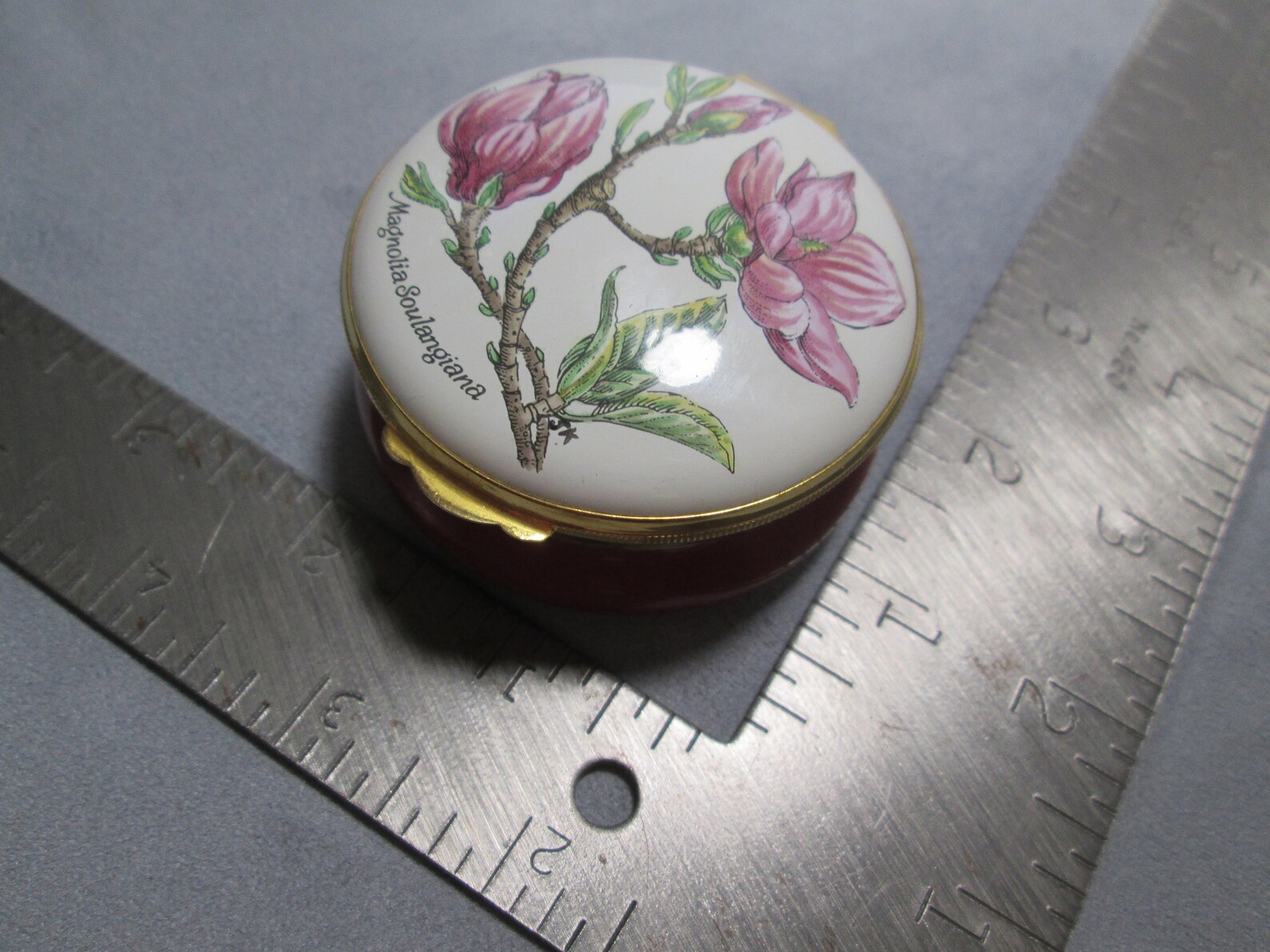 Crummles Enamel Box MAGNOLIA Soulangiana Flower - Etsy