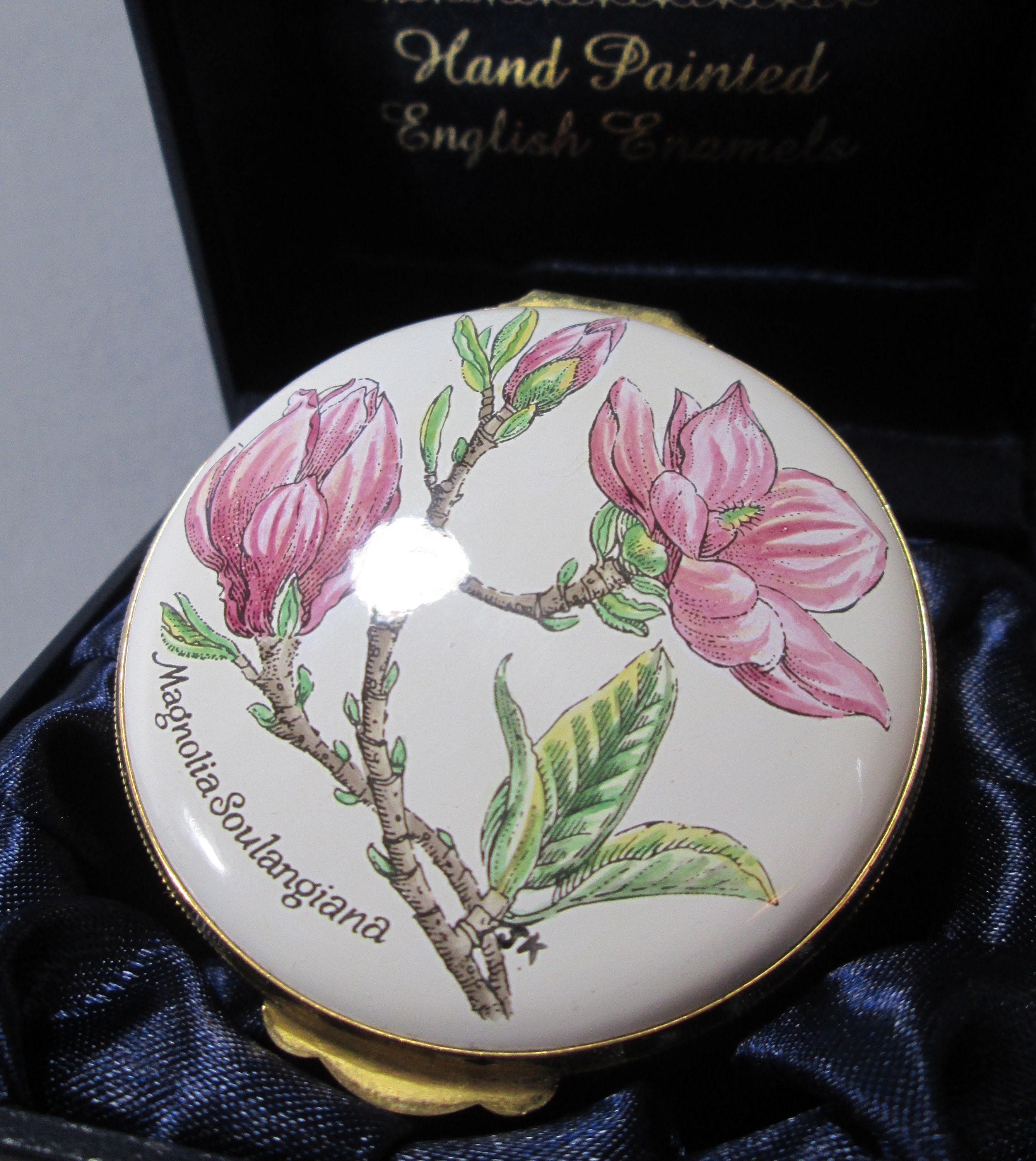 Crummles Enamel Box MAGNOLIA Soulangiana Flower - Etsy