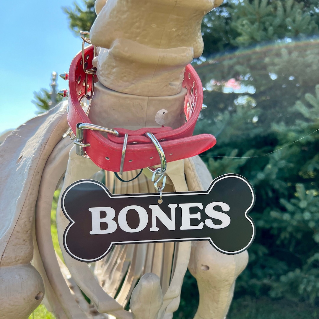 Personalized Skeleton Dog Bone Tag: Halloween Decor Accessory - Etsy