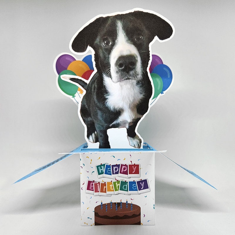 Handmade Dog Greeting Cards - Etsy