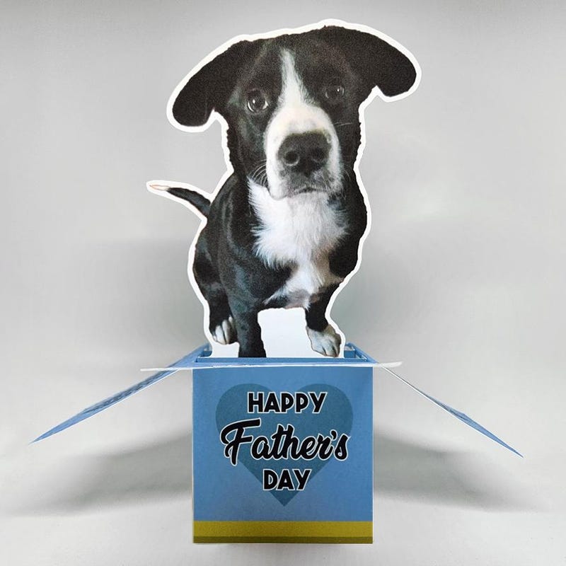 Custom Pet Pop up Cards - Etsy