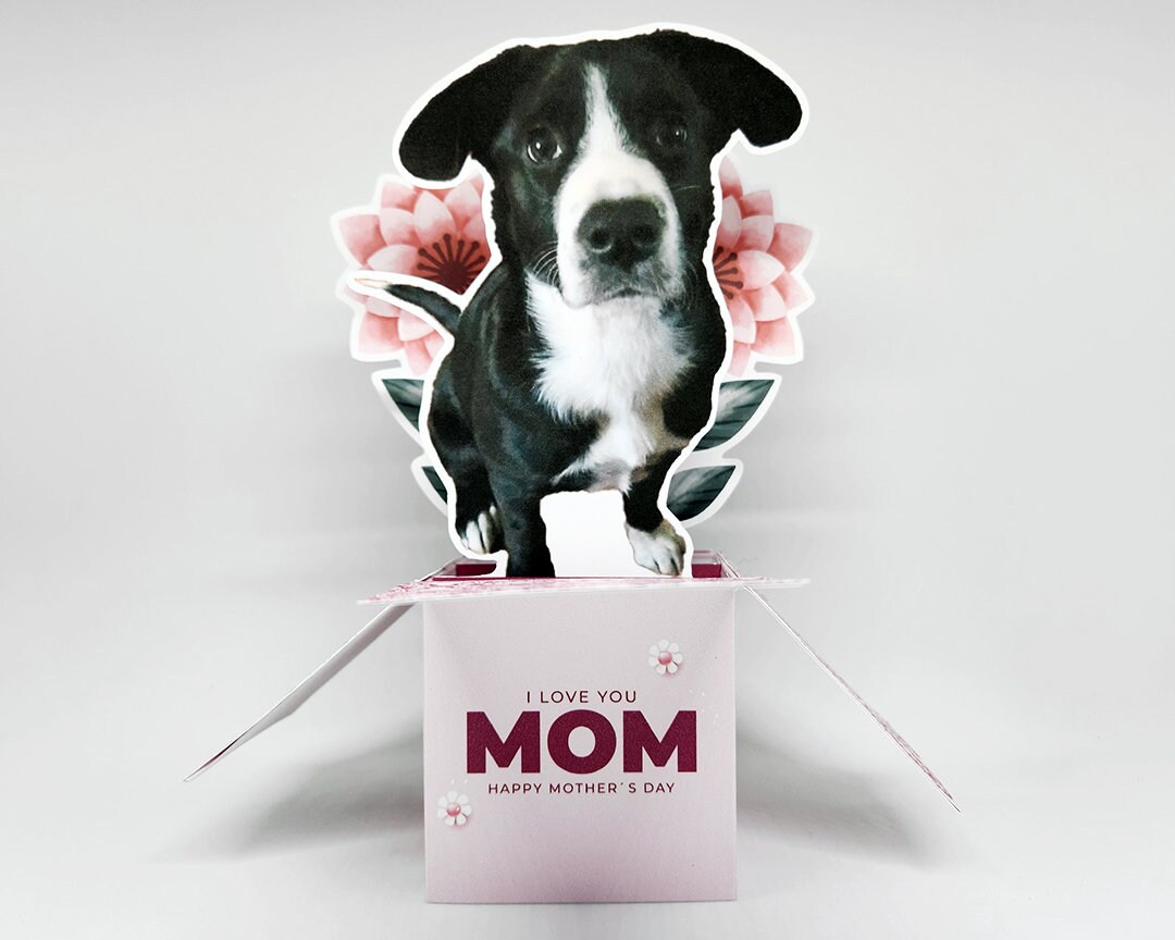 Mother's Day Pet Photo Pop-up Greeting Card - Etsy