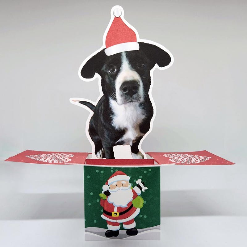 Pop up Cards - Etsy