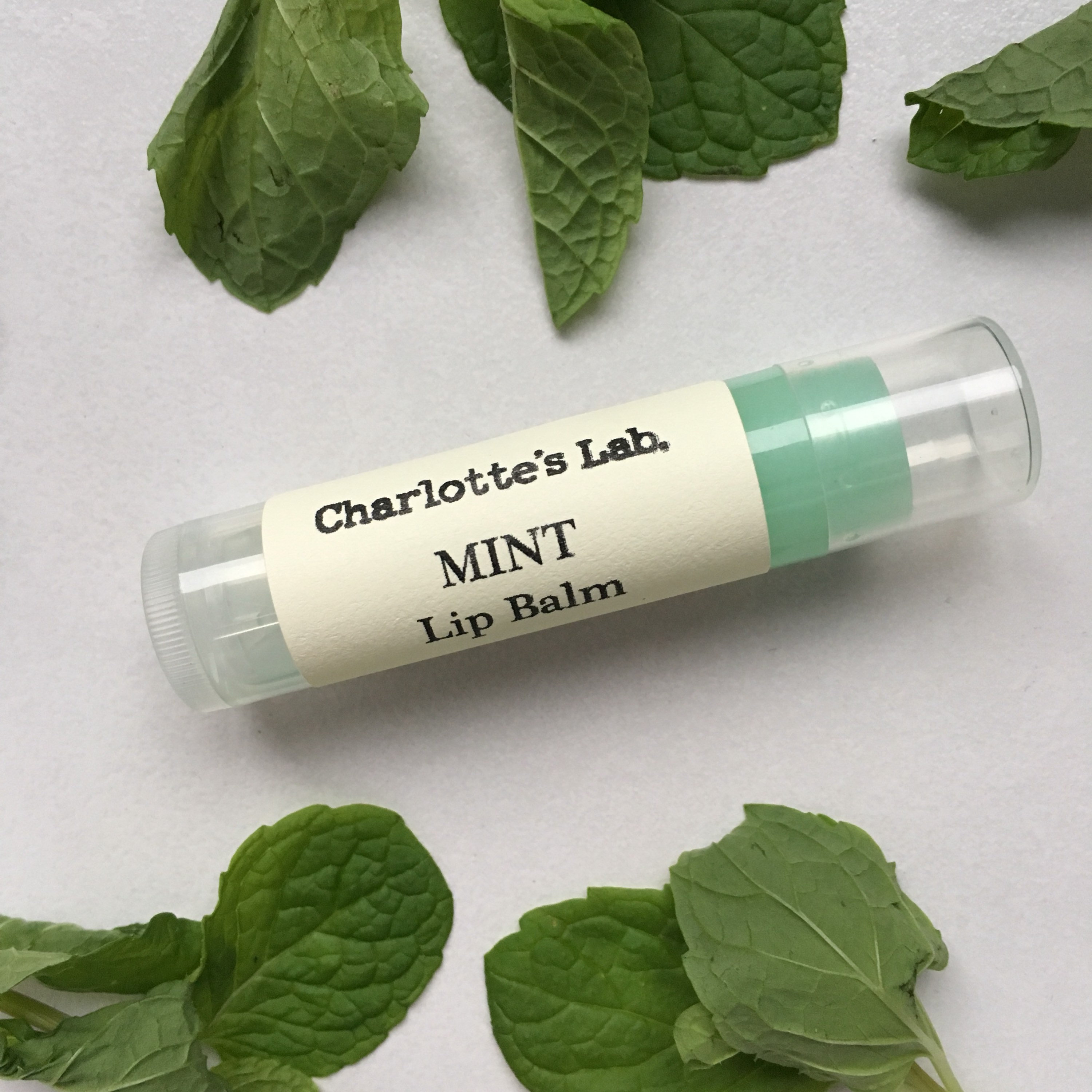 Mint Natural Lip Balm Chapstick Peppermint Lip Balm | Etsy