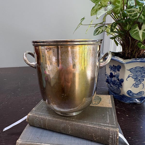 Silver Ice Bucket - Etsy