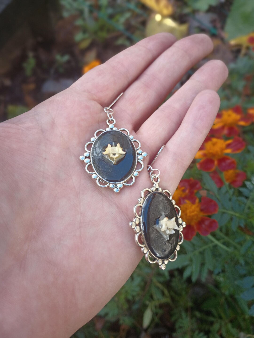 Have a Backbone - Etsy