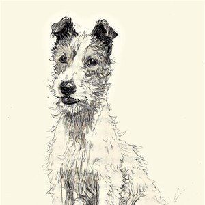CECIL ALDIN - Meynell Hunt Terrier Dog Art Vintage 1930 MATTED Puppy ...
