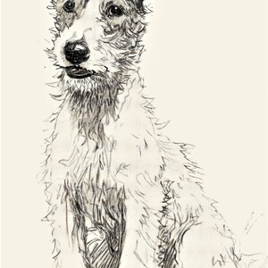 CECIL ALDIN - Meynell Hunt Terrier Dog Art Vintage 1930 MATTED Puppy ...